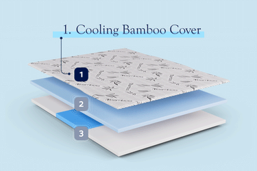 Dosaze DreamAlign Back Relief Mattress Topper